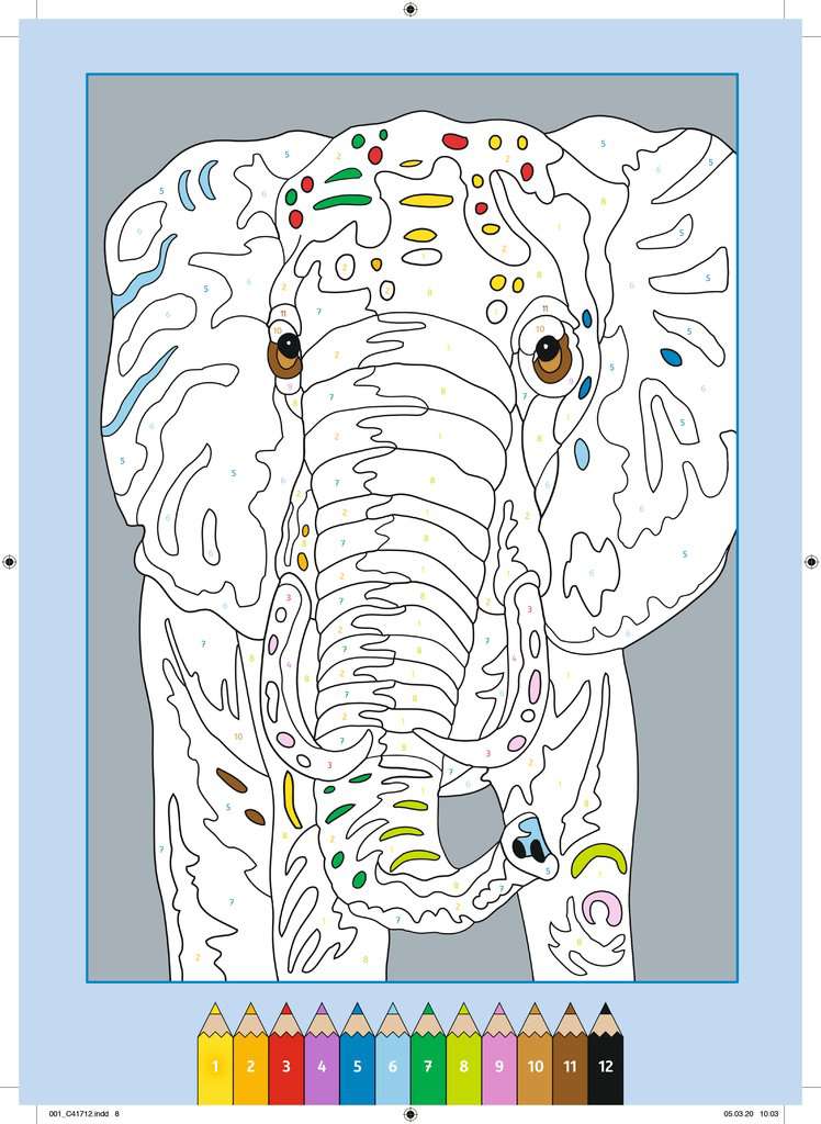 Coloring by Number: Wild animals – Ravensburger Foreign Rights