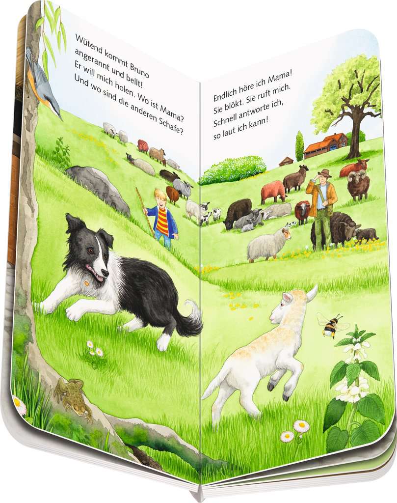 I Am the Little Sheep – Ravensburger Foreign Rights