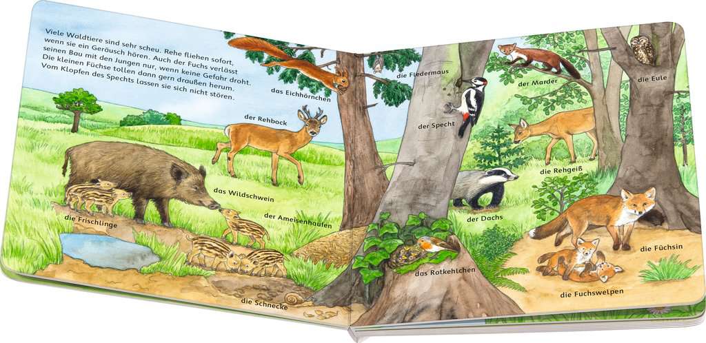 My Picture Dictionary: Our Animals – Ravensburger Foreign Rights